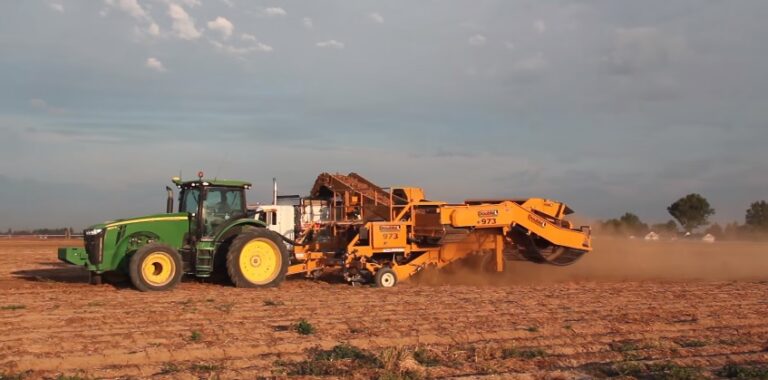 5 Reasons To Buy a Potato Digger For Your Small Farm - Richannel