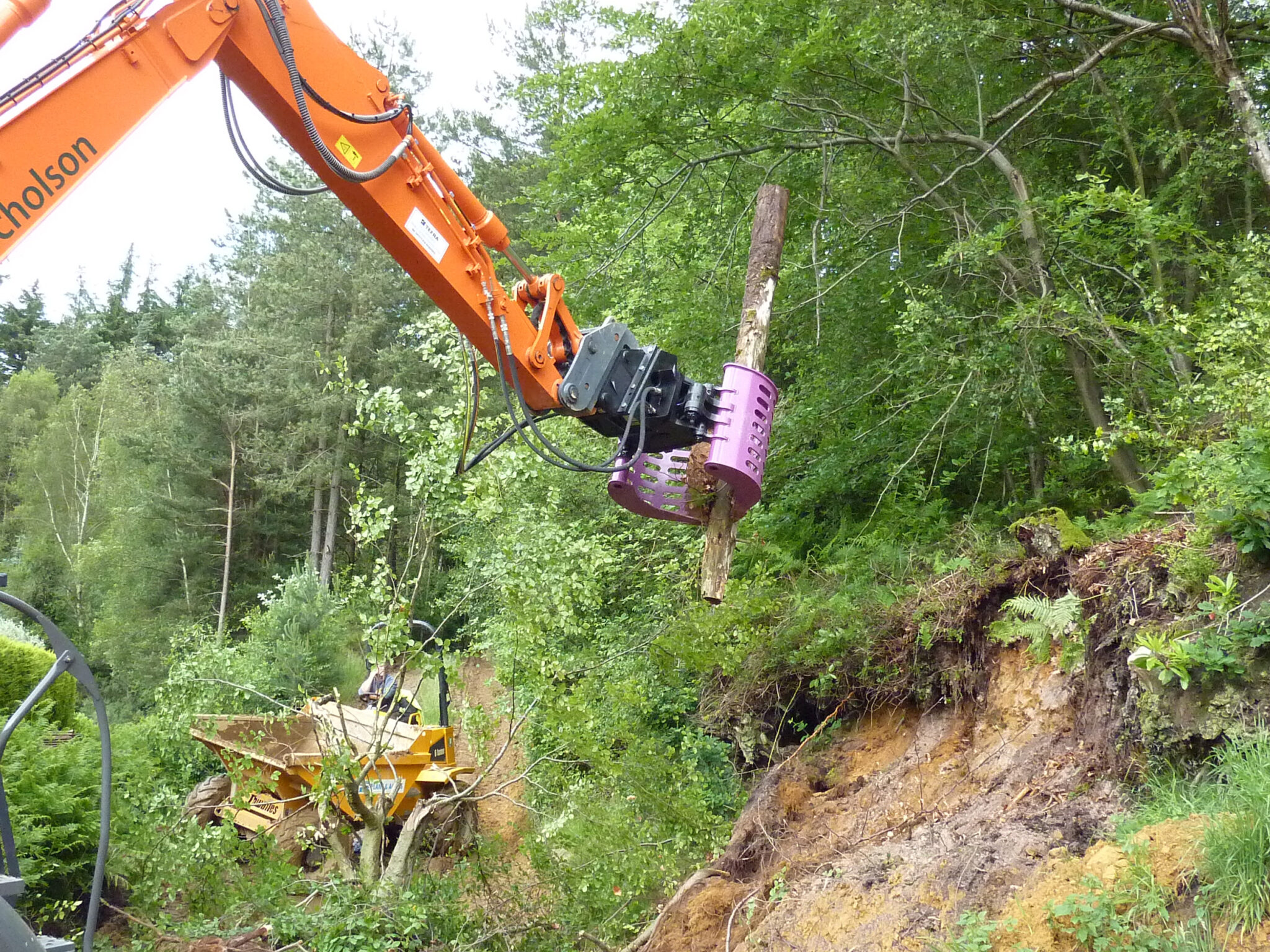 5 Things To know About Timber Attachments & Grabs - Richannel