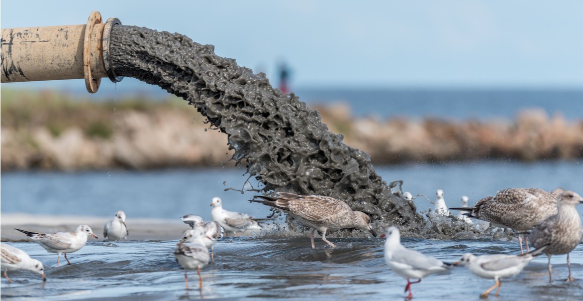 What to Do If Exposed to Raw Sewage - Richannel
