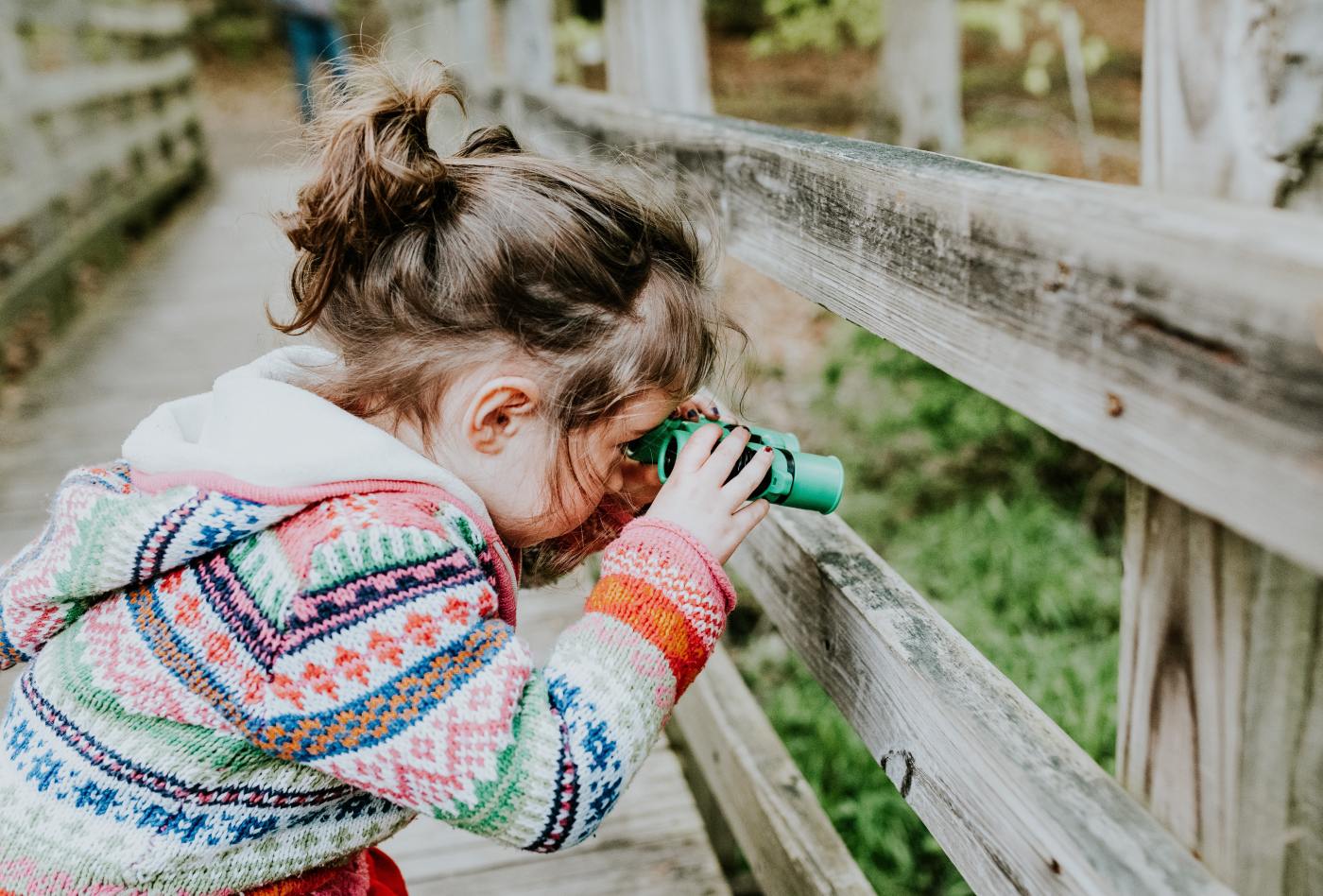 The Science Behind Toddler Curiosity (2024) - Richannel