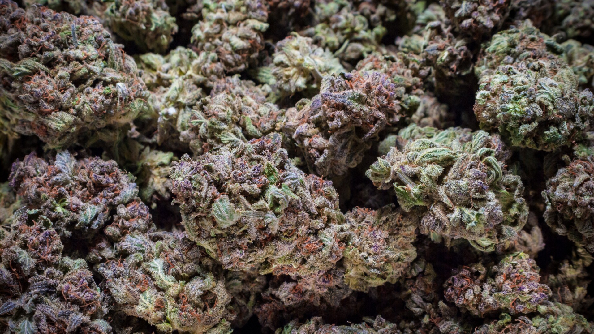 What is CBG? Everything You Need To Know