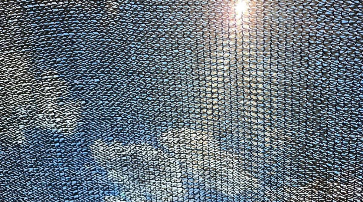 What Color Shade Cloth is Best for Vegetable Garden? Factors to ...
