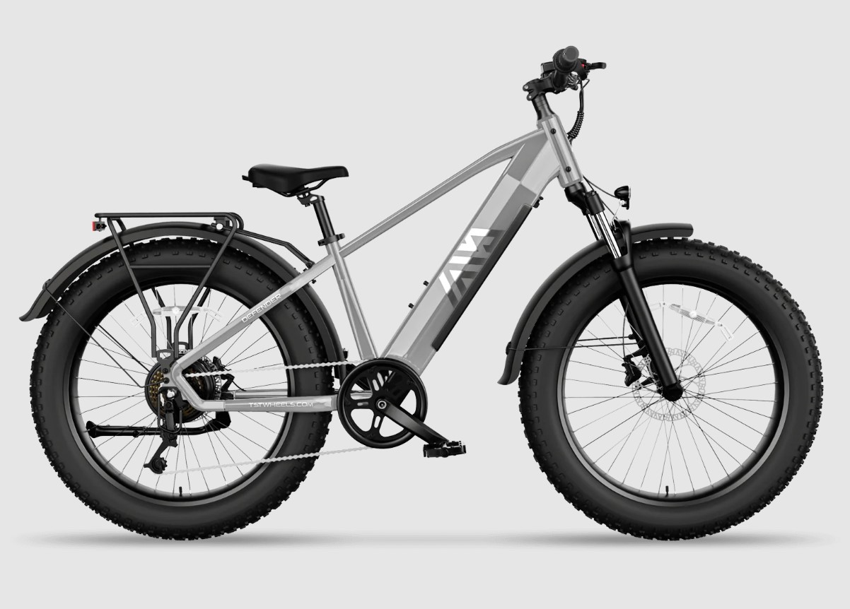 The TST Surfer ─ A Nimble Yet Powerful Electric Bike for City Riding ...