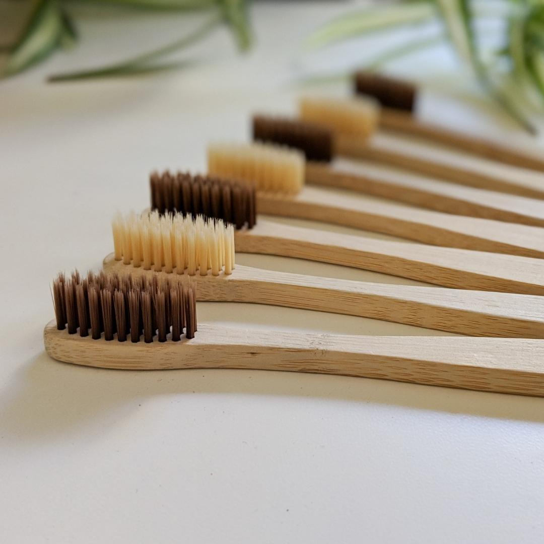 Compostable Toothbrushes: A Simple Step to a Plastic-Free Lifestyle ...