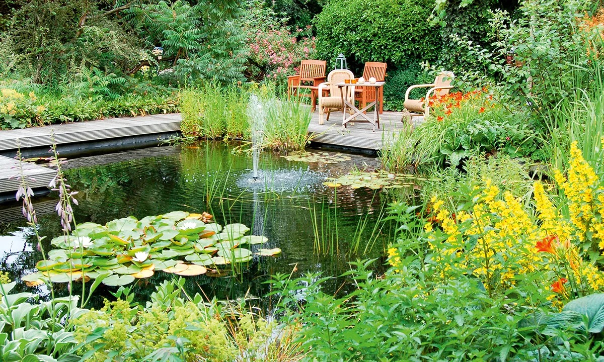 How to Choose the Perfect Location for Your Backyard Pond - Richannel