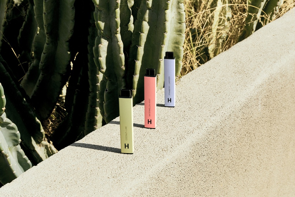 Disposable Vapes Explained What They Are and How They Work - Richannel